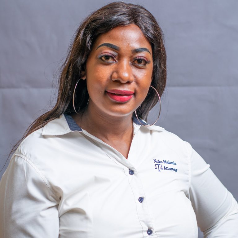 Our Team – Noko Maimela Incorporated